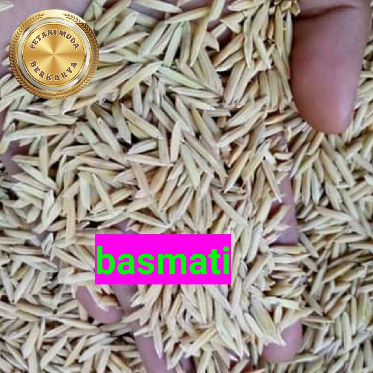 Benih Padi Basmati / berat 1 kilo | Lazada Indonesia