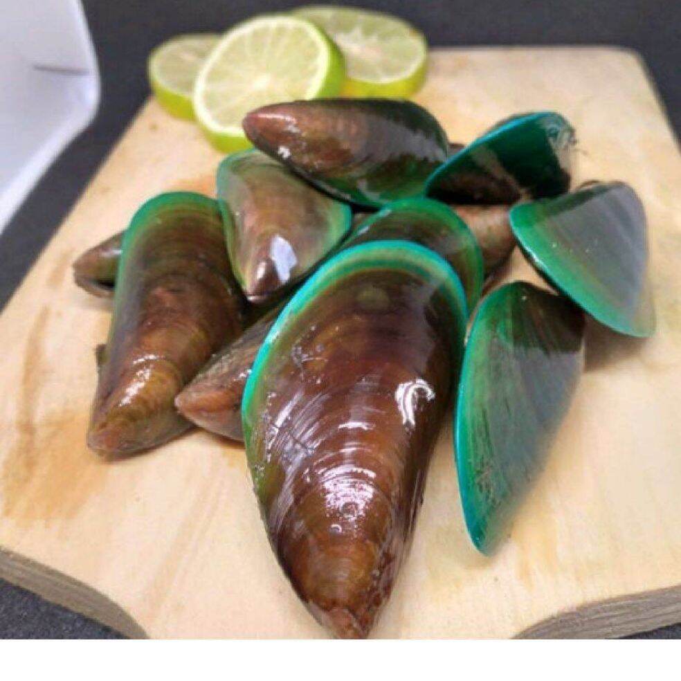 Kerang Hijau 1 Kg Frozen | Lazada Indonesia