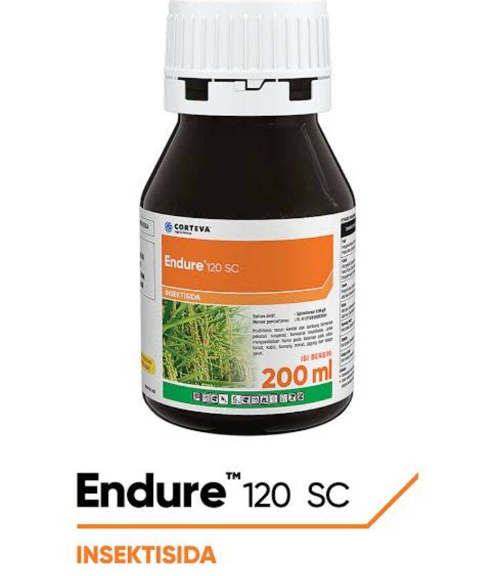 Insectisida Endure® 120 SC | Lazada Indonesia
