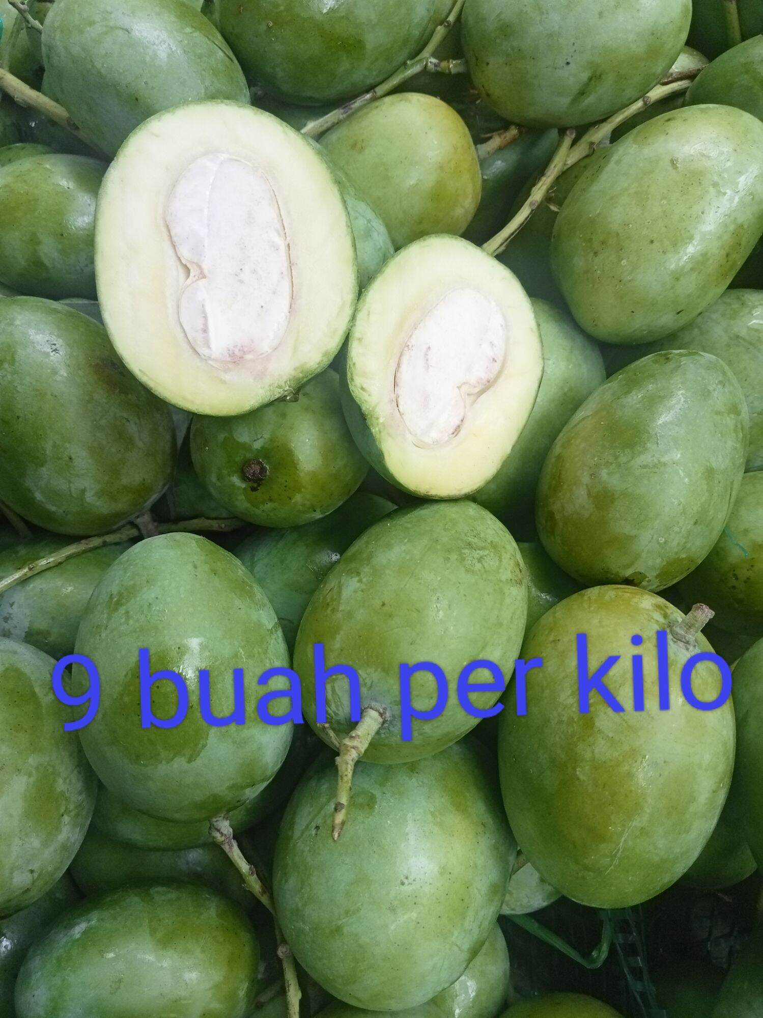 Buah Cupu