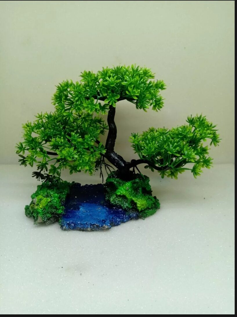 Bonsai Sintetis Aquarium at Chloe Papathanasopoulos blog