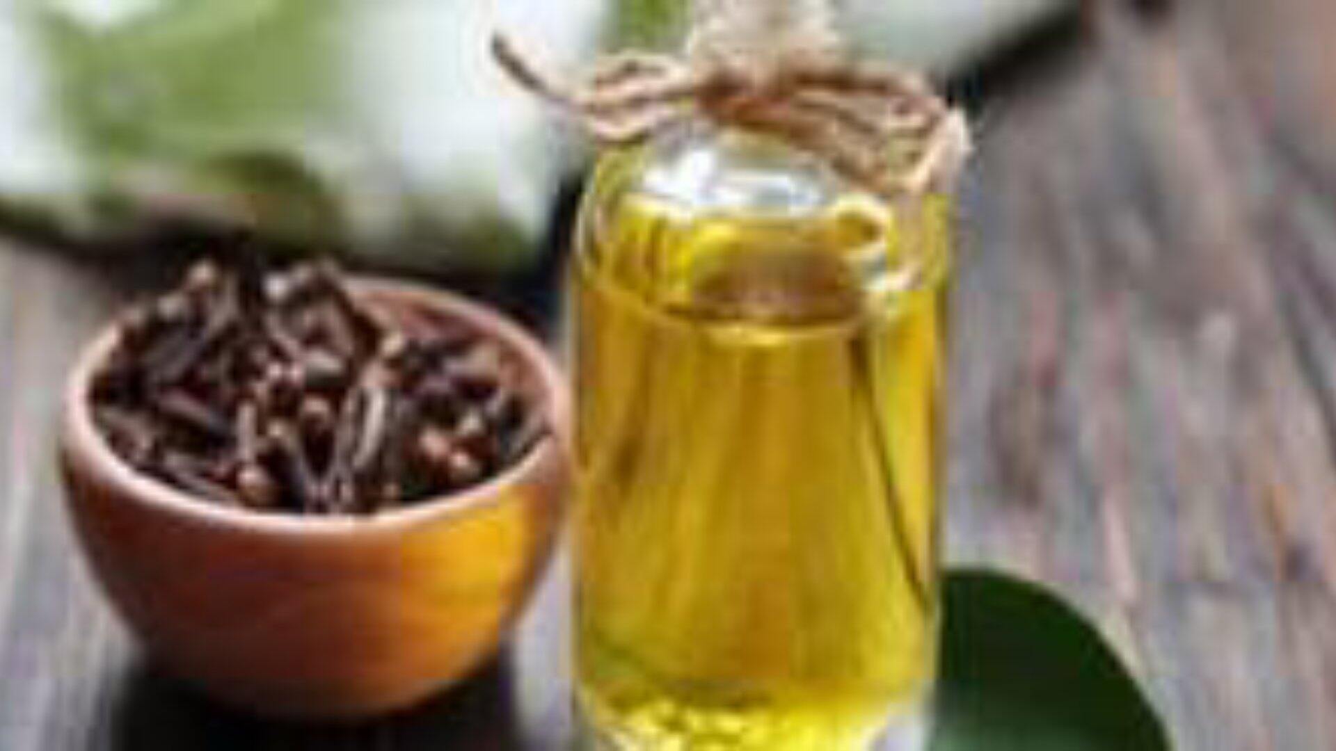 MINYAK DAUN CENGKEH ASLI SULINGAN SULAWESI SELATAN | Lazada Indonesia