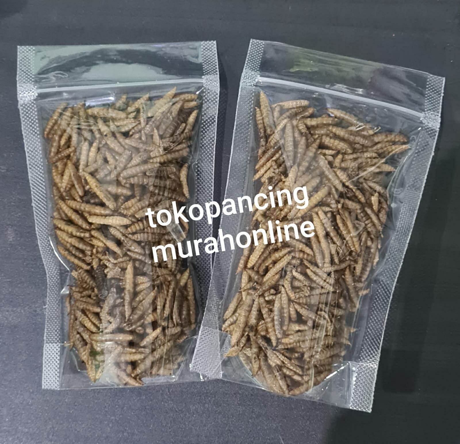 ULAT MAGGOT KERING 25 GRAM Harga Per Bungkus | Lazada Indonesia