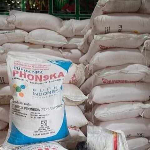 ready pupuk phonska urea 50kg | Lazada Indonesia