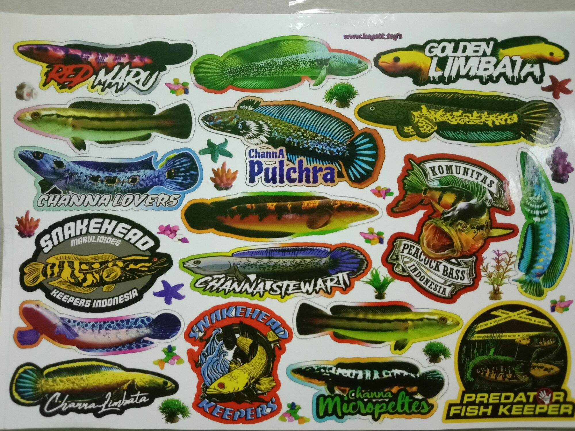 1 lembar mainan setiker ikan channa | Lazada Indonesia