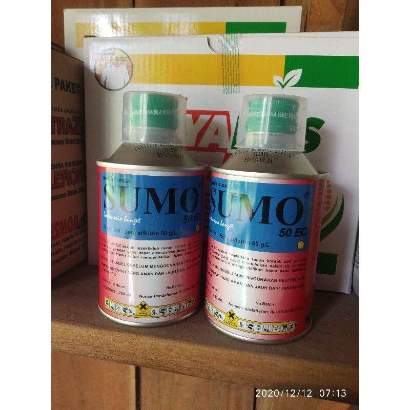 SUMO 50EC Insektisida 250ml / Sumo Insektisida Racun Kontak | Lazada ...