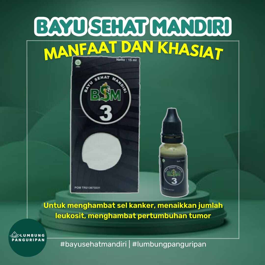 Bayu sehat mandiri BSM 3 | Lazada Indonesia