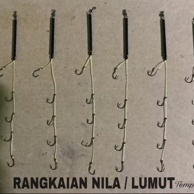 RANGKAIAN PANCING LUMUT KAIL BANYAK 5 KAIL | Lazada Indonesia RANGKAIAN PANCING LUMUT KAIL BANYAK 5 KAIL | Lazada Indonesia