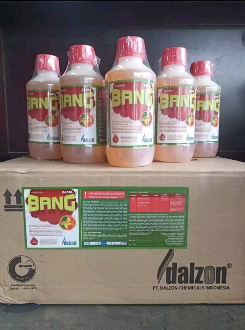 Racun rumput HERBISIDA BANG 240SL kemasan 1 liter | Lazada Indonesia