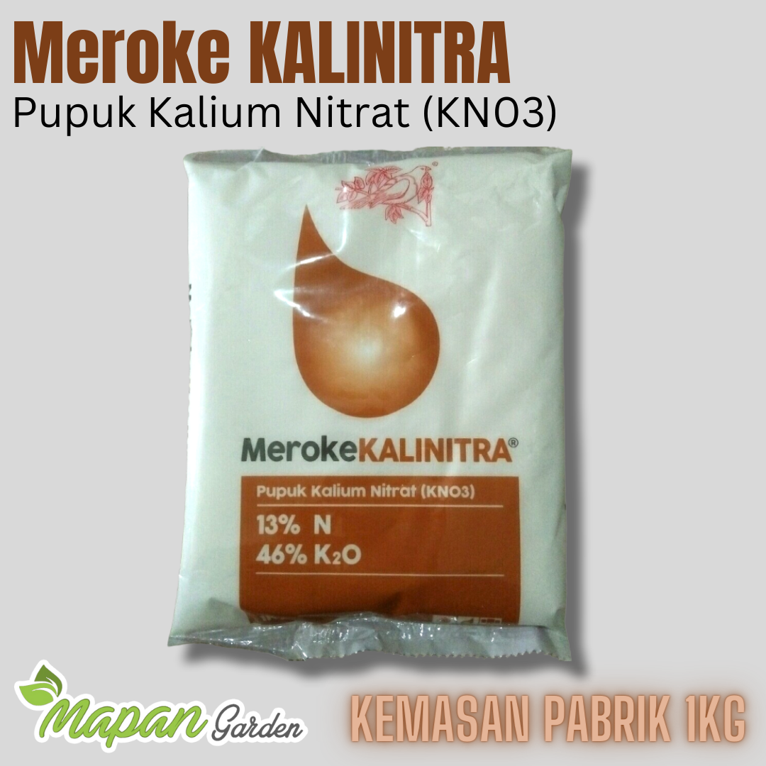 Pupuk Kalium Nitrat - Meroke KALINITRA KNO3 - 1kg | Lazada Indonesia