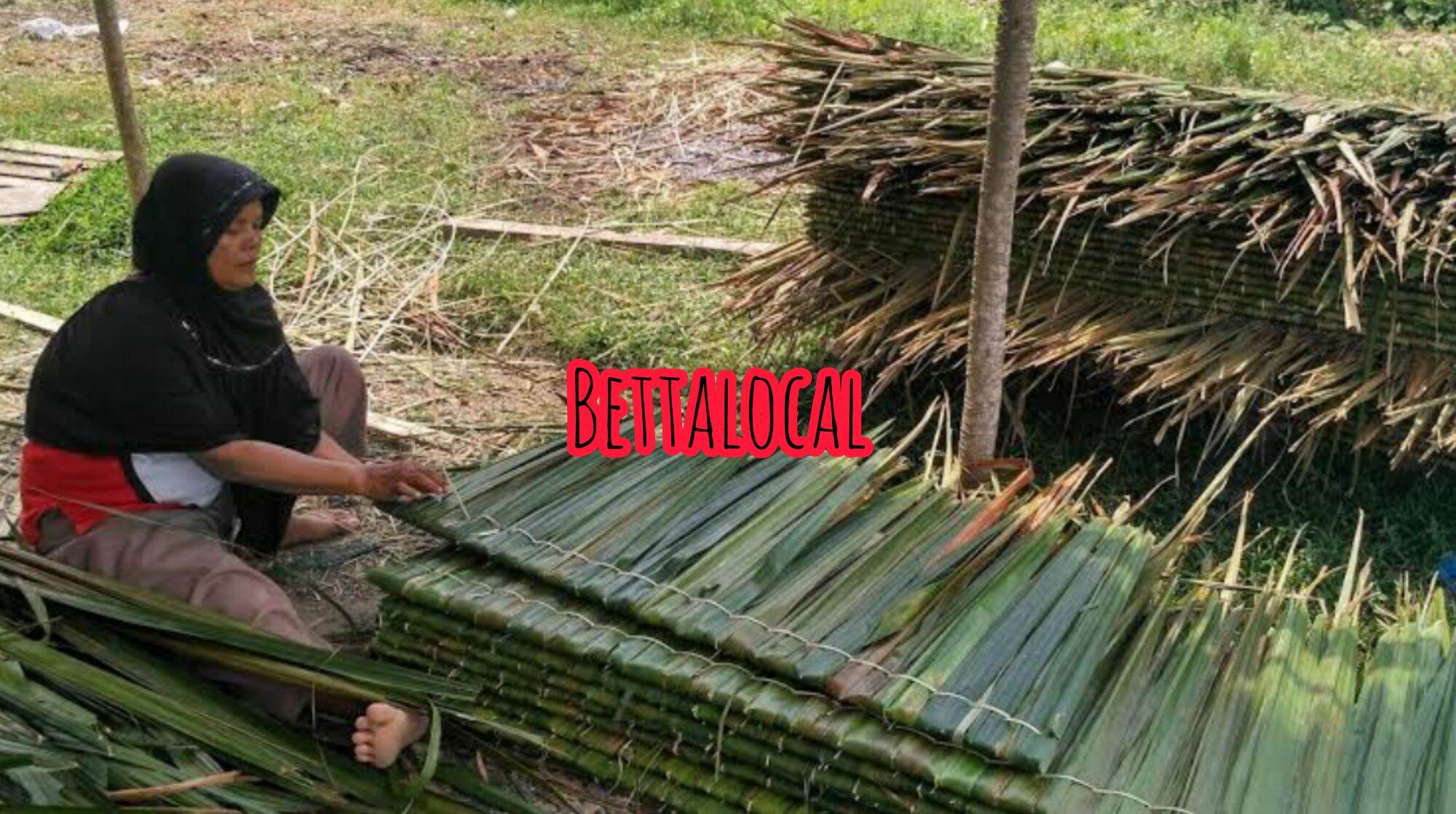 Daun rumbia/atap daun rumbia/daun dahon ukuran 120x50 , untuk ukuran ...