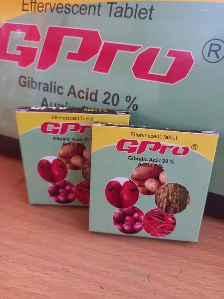 ZPT GPro 25TB 10 gram Seperti Bigrow untuk dicampur 160 liter air ...