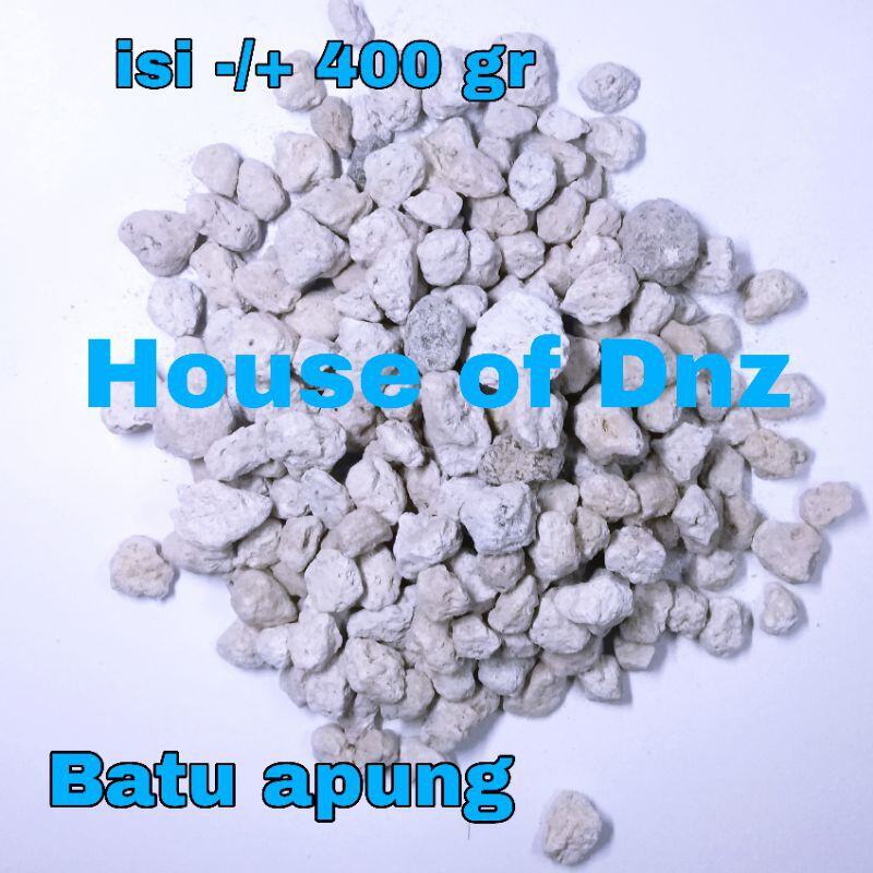 Batu Apung Pumis Pumice Media Filter Aquarium Kolam Dekorasi Aquascape ...