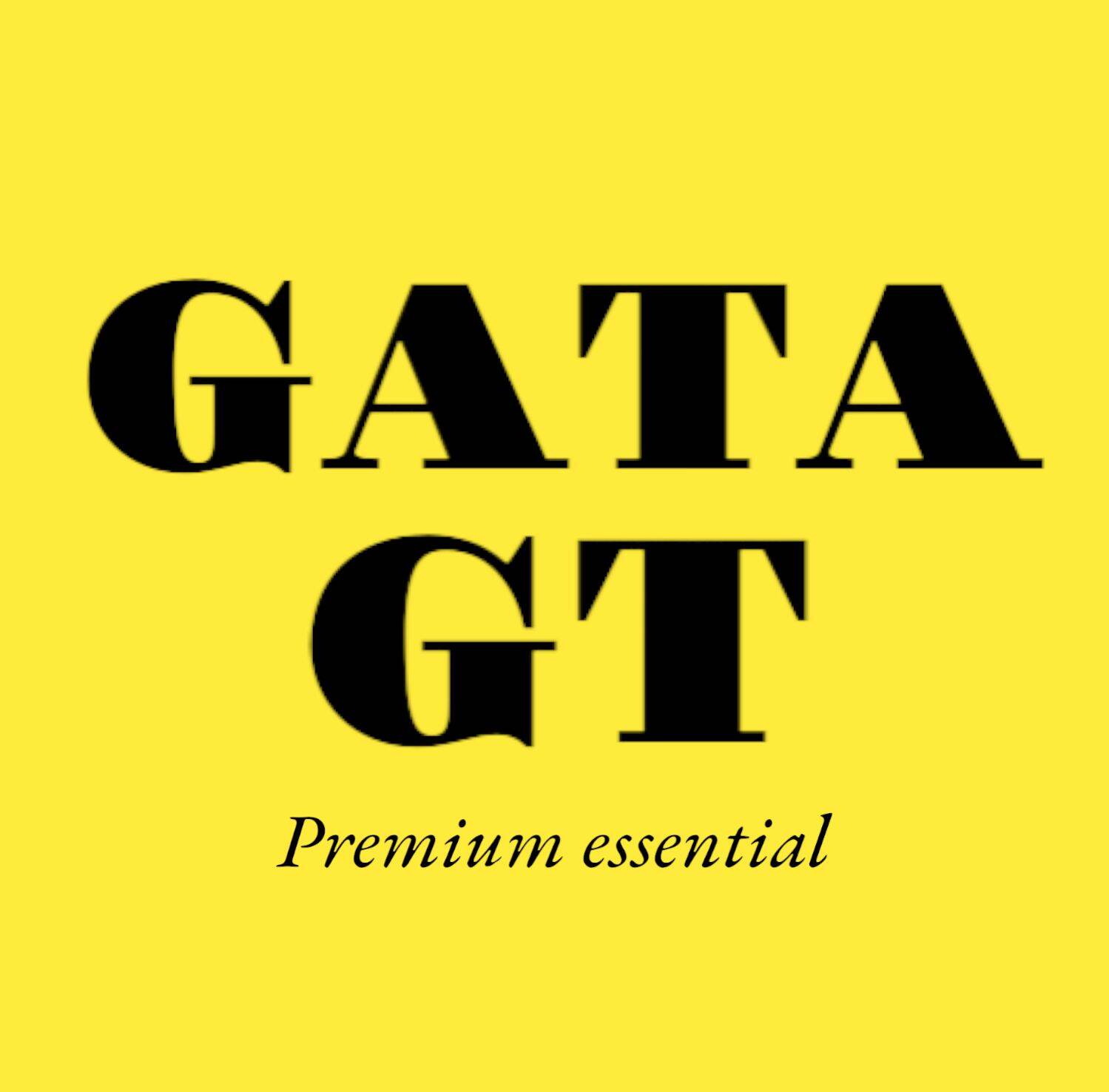 GATA GT Official Store di Indonesia, Online Shop 09 2024
