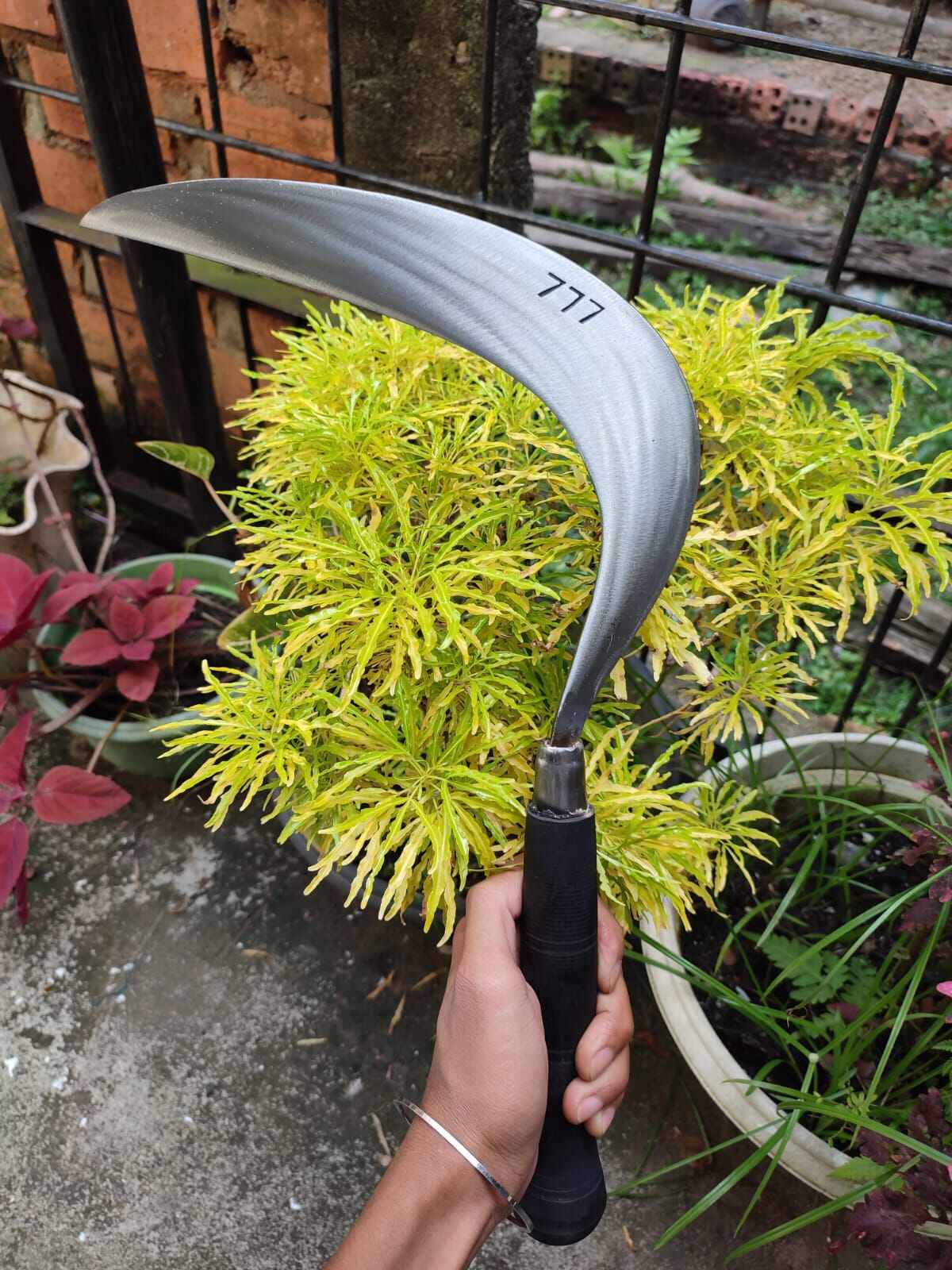 Sabit Rumput 777 #SuperTaja. | Lazada Indonesia