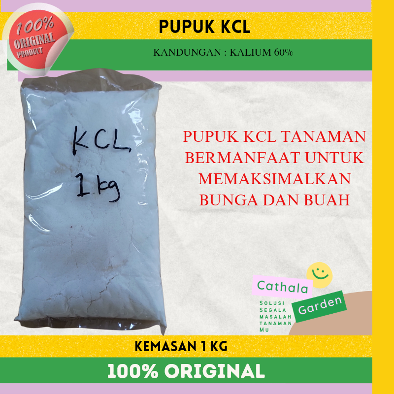 KCL 60% MURNI KEMASAN 1 KG | Lazada Indonesia