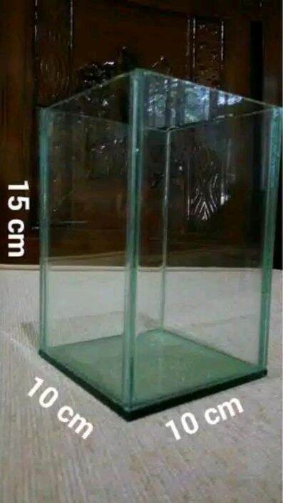 soliter cupang ukuran 10x10x15 | Lazada Indonesia