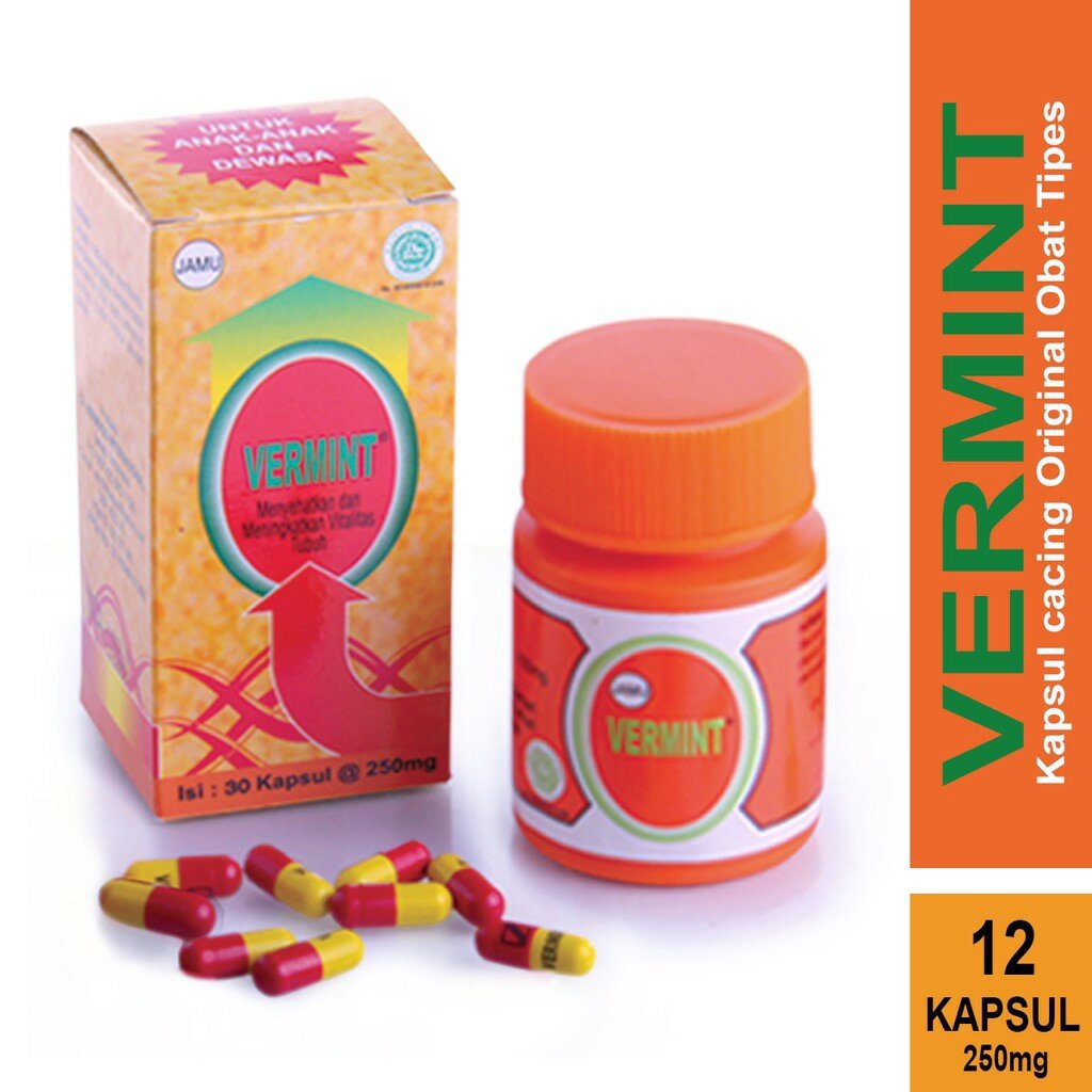 Vermint 12 Kapsul - Obat Cacing Atasi Gejala Typus Dan Demam Berdarah ...