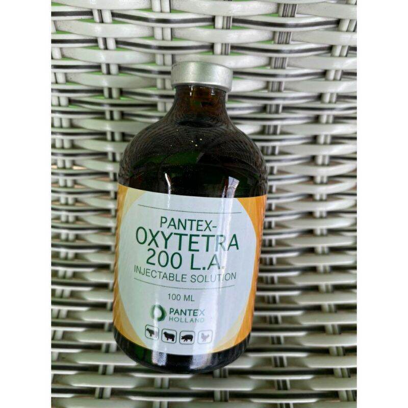 PANTEX OXYTETRA 200 L.A Obat Injeksi Antibiotik Infeksi Mencret untuk ...