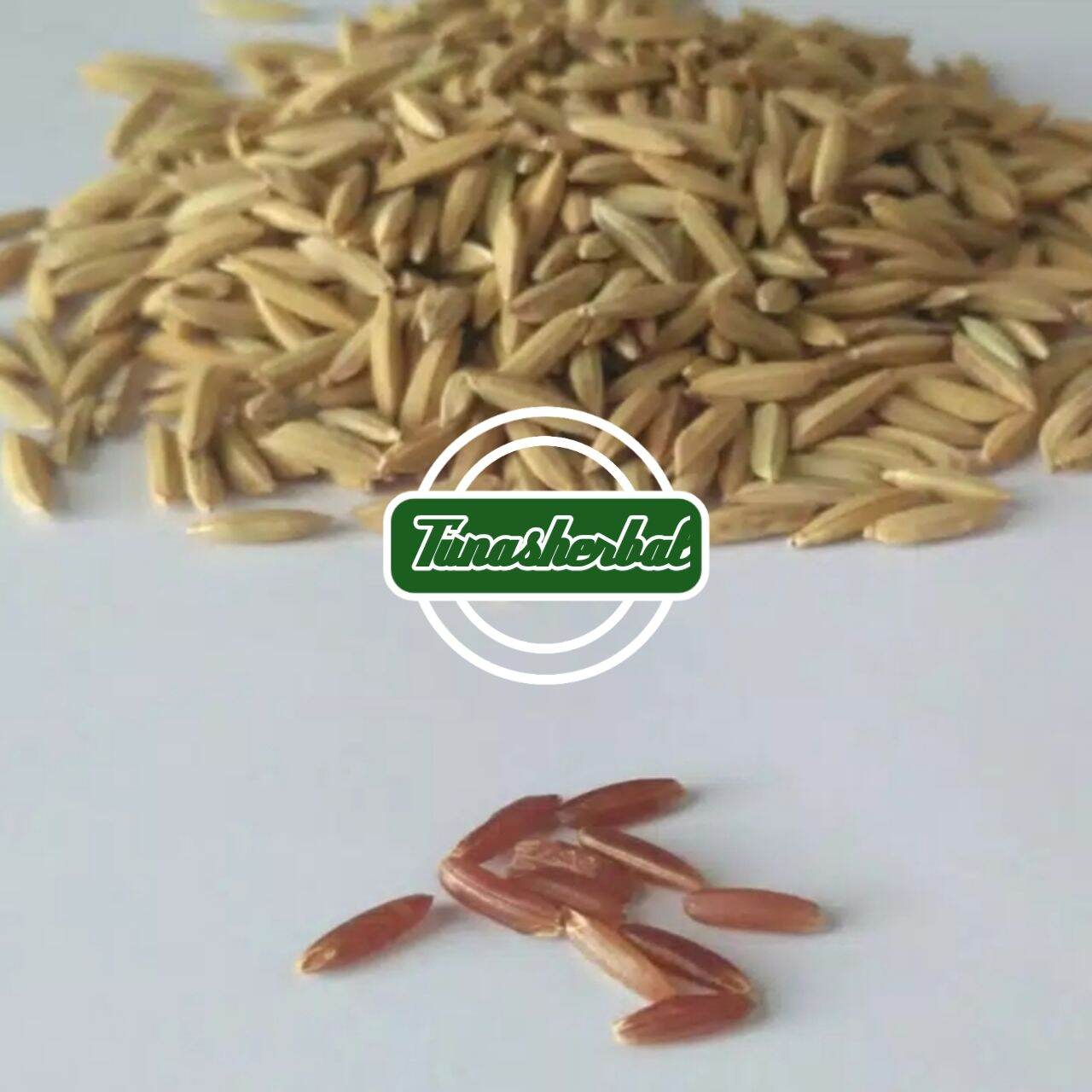 Jual Benih Padi Merah Padi Lokal 1Kg | Lazada Indonesia