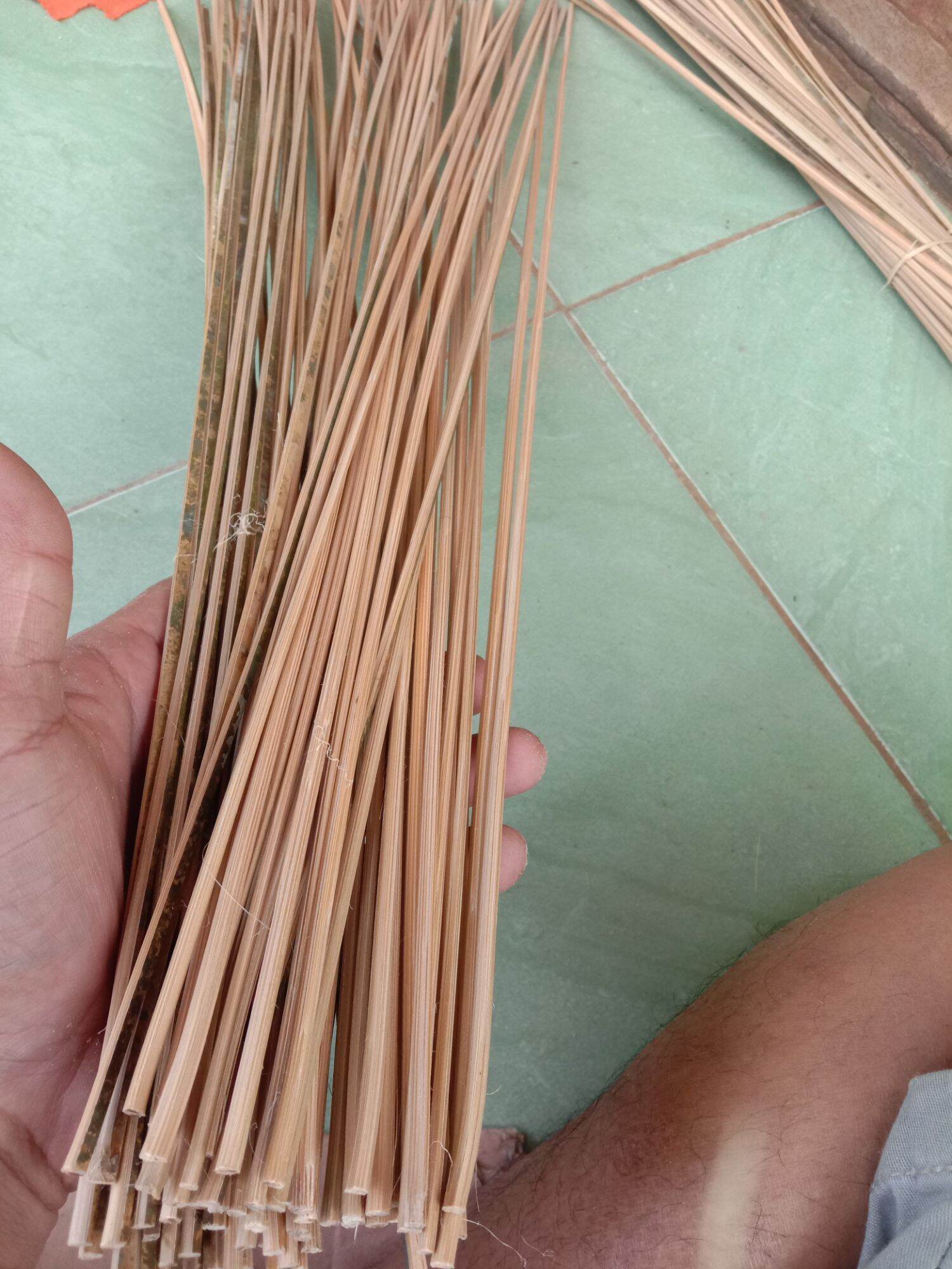 stik bambu petung bulat 10pcs panjang 1meter diameter 4-5mili | Lazada ...