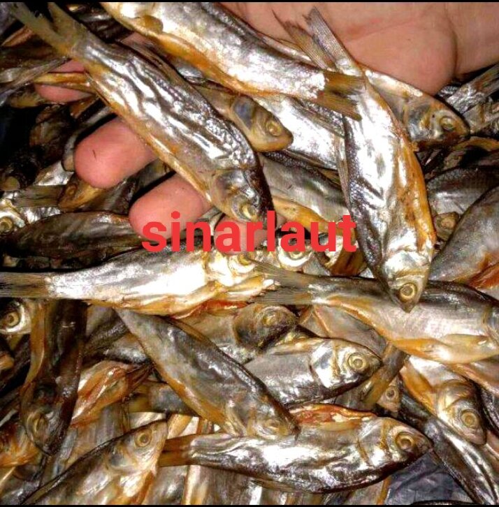 ikan asin NILEM BANJARMASIN /NILEM LAUT 250grm/500grm/1kg | Lazada ...