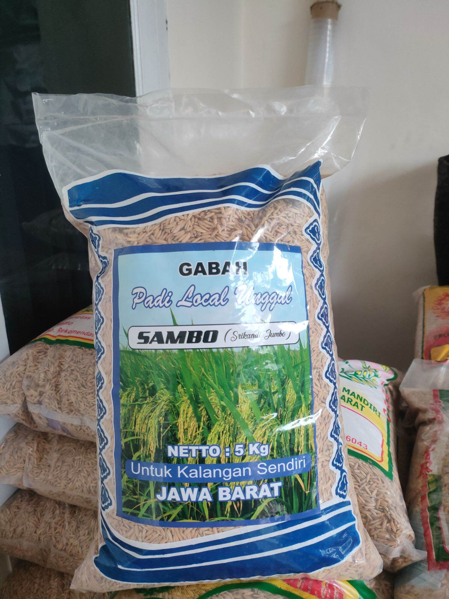 Benih Padi Lokal Unggul Srikandi Jumbo Sambo 5 kg | Lazada Indonesia
