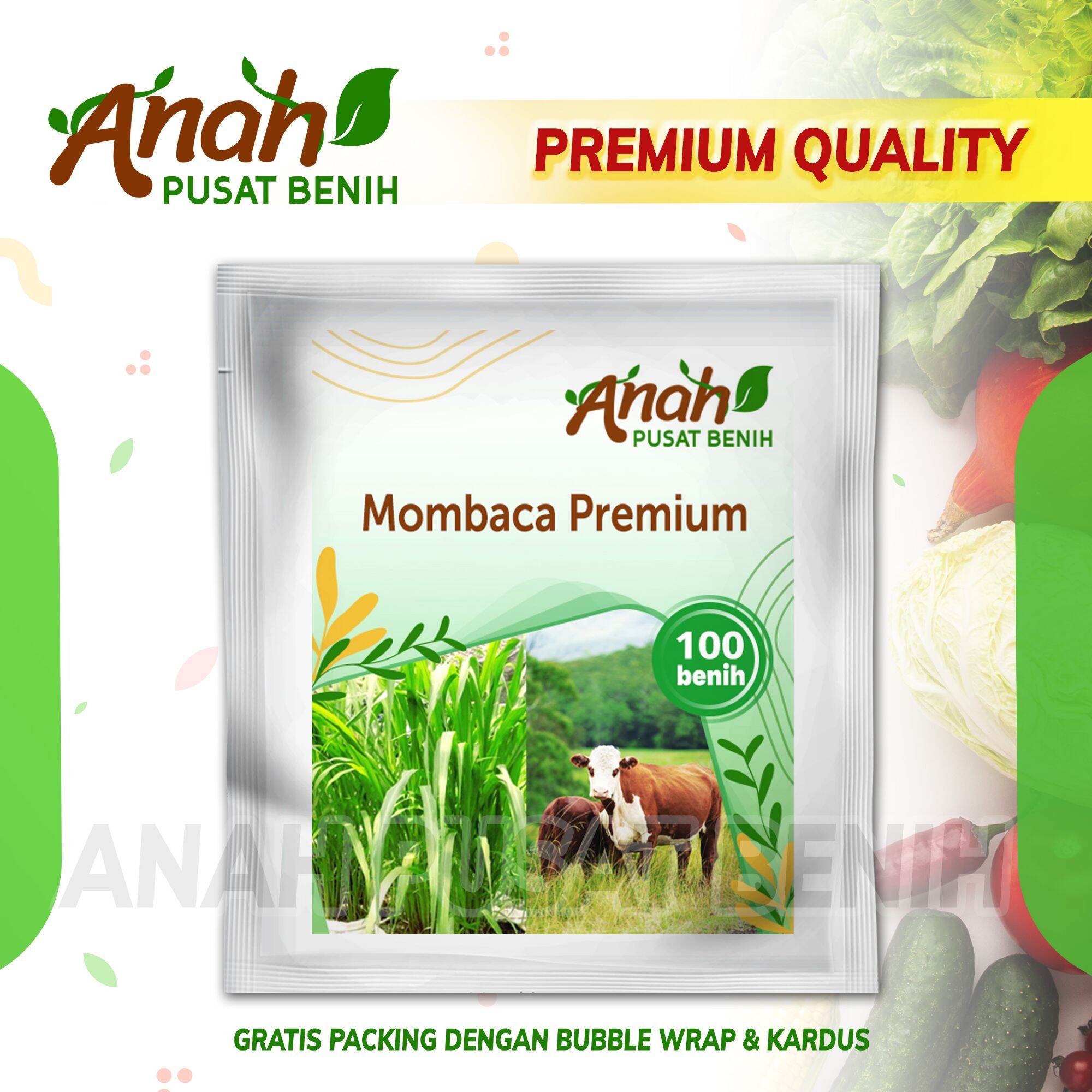 Benih rumput mombaca F1 super premium - bibit pakan ternak Repack benih membaca original ...
