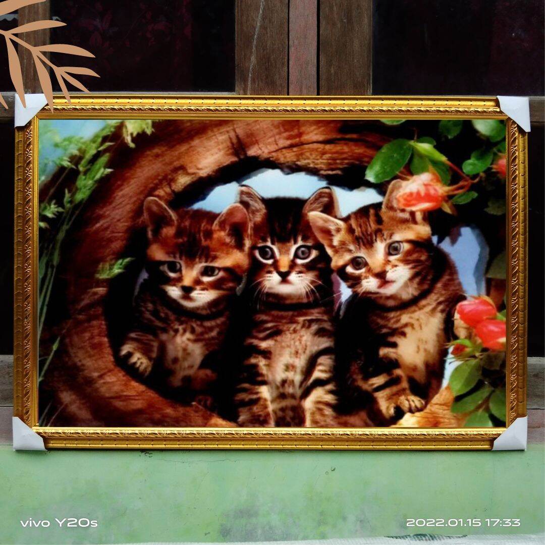 gambar poster 3 dimensi motif kucing dan bingkai ukuran 40x60cm ...