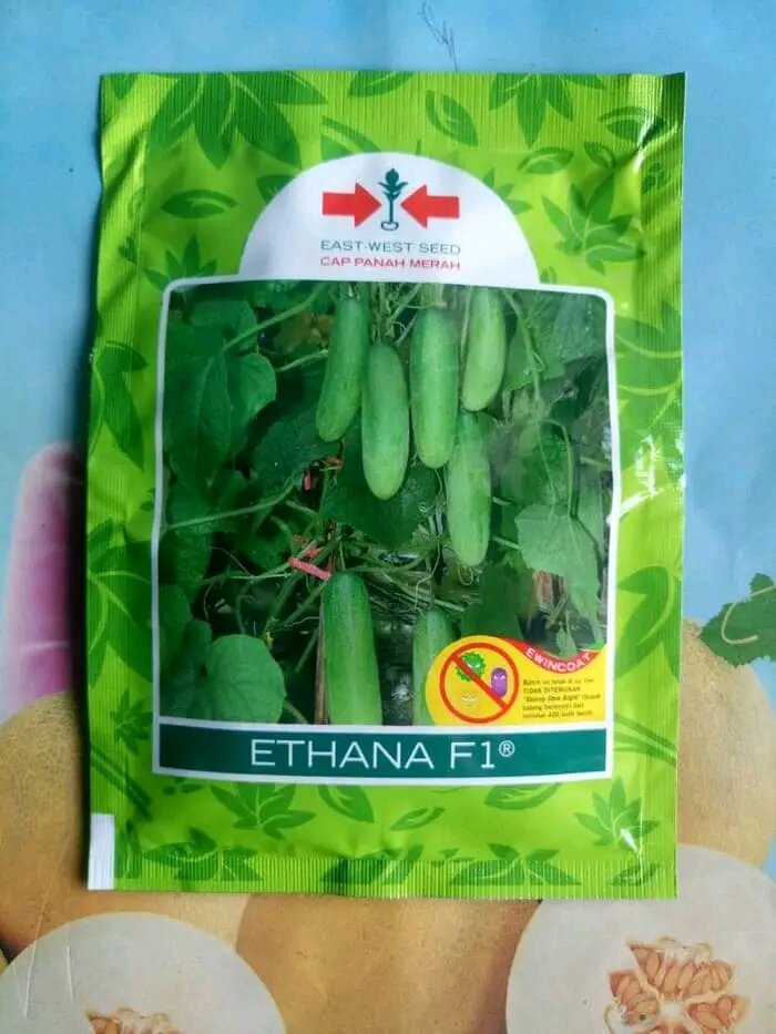 100 benih bibit timun ETHANA F1 benih mentimun cap panah merah original ...