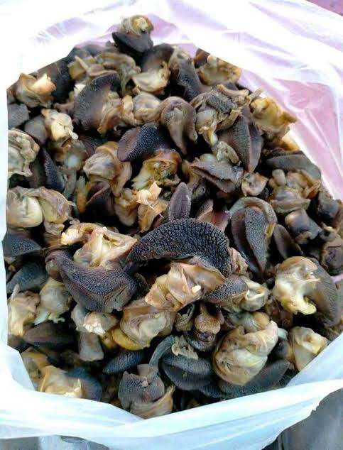 DAGING BEKICOT FRESH 500GRM | Lazada Indonesia