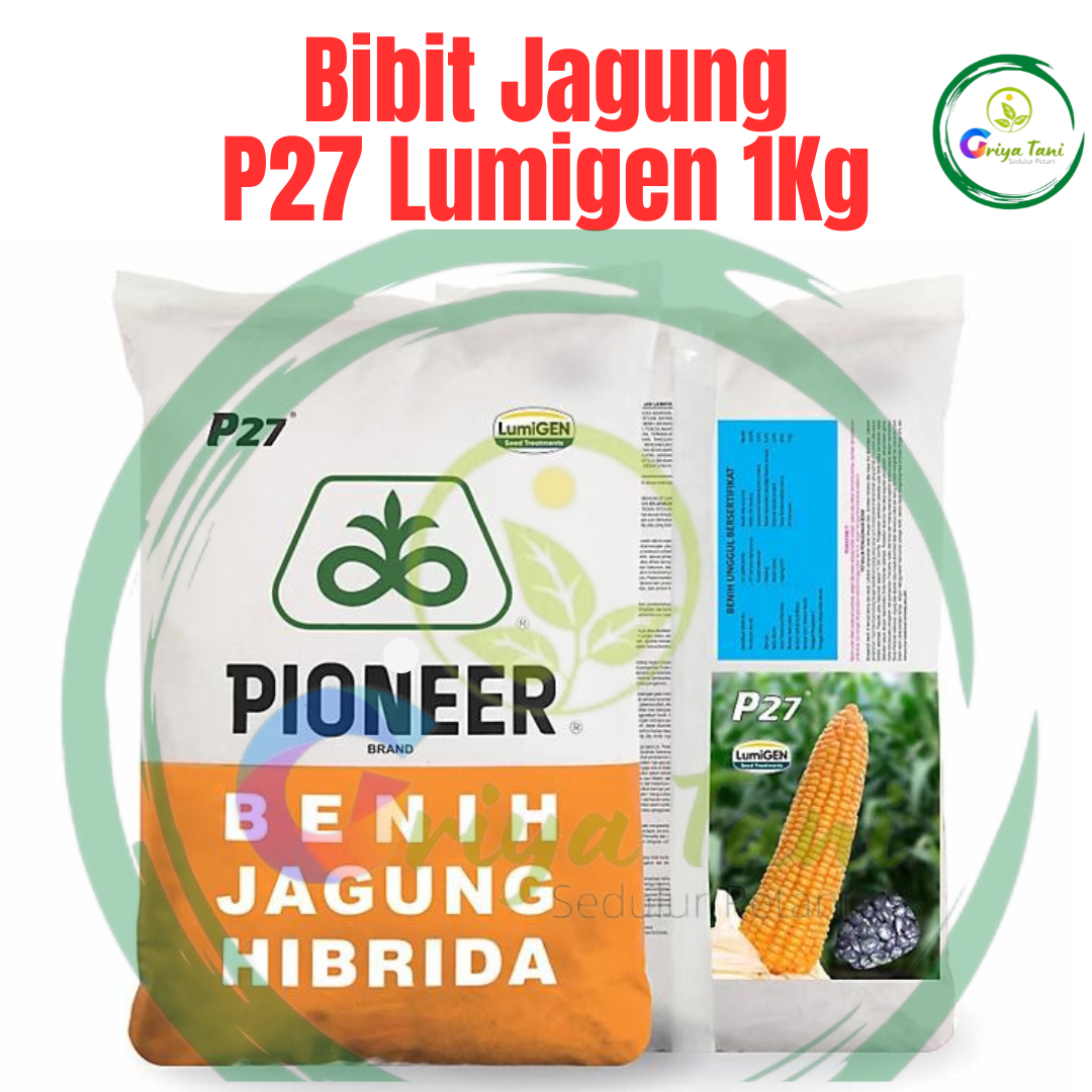 P27 Lumigen Benih Jagung Hibrida Pioneer 1Kg | Lazada Indonesia