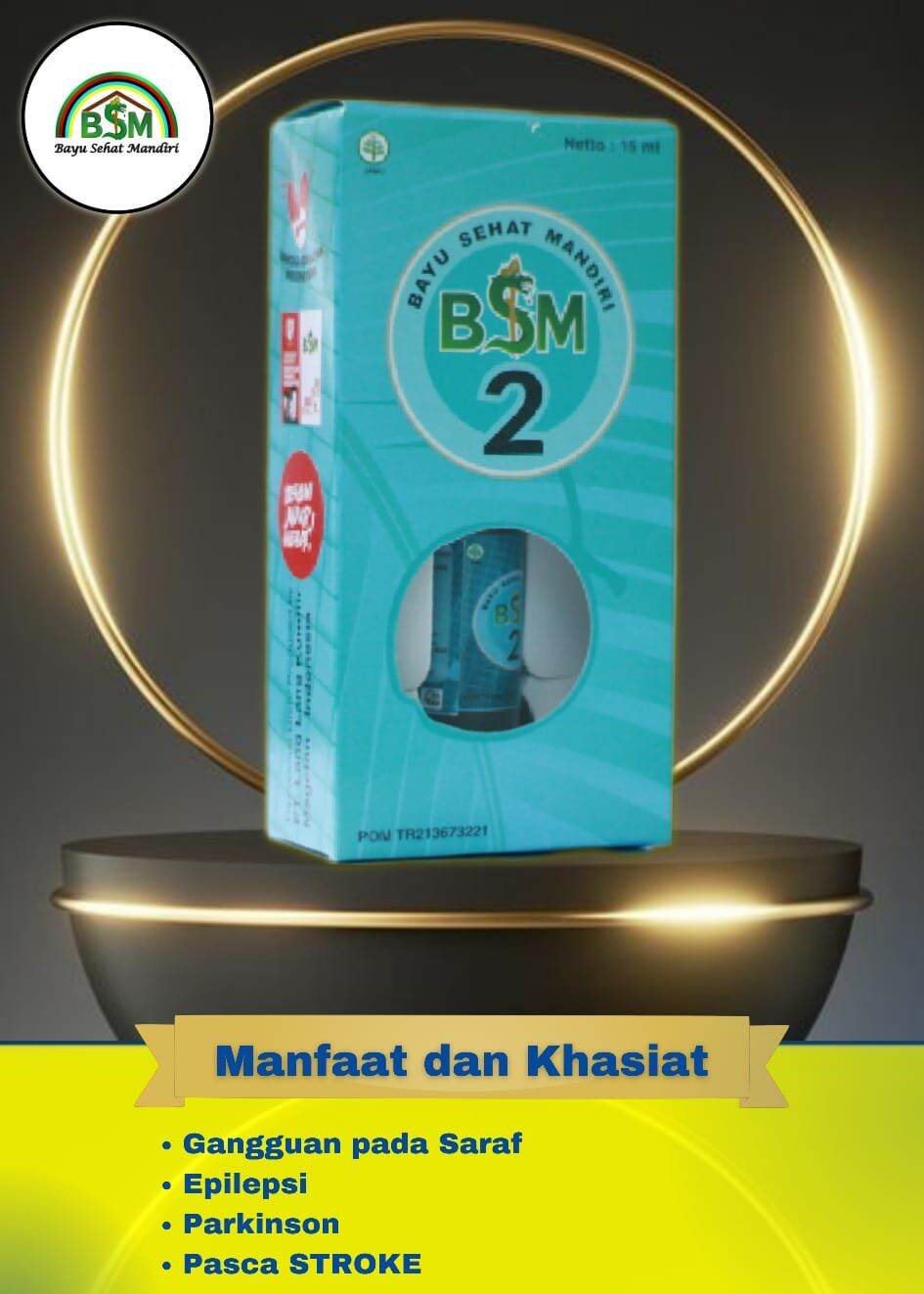 BSM2 (Stroke,Syaraf) Bayu Sehat Mandiri | Lazada Indonesia