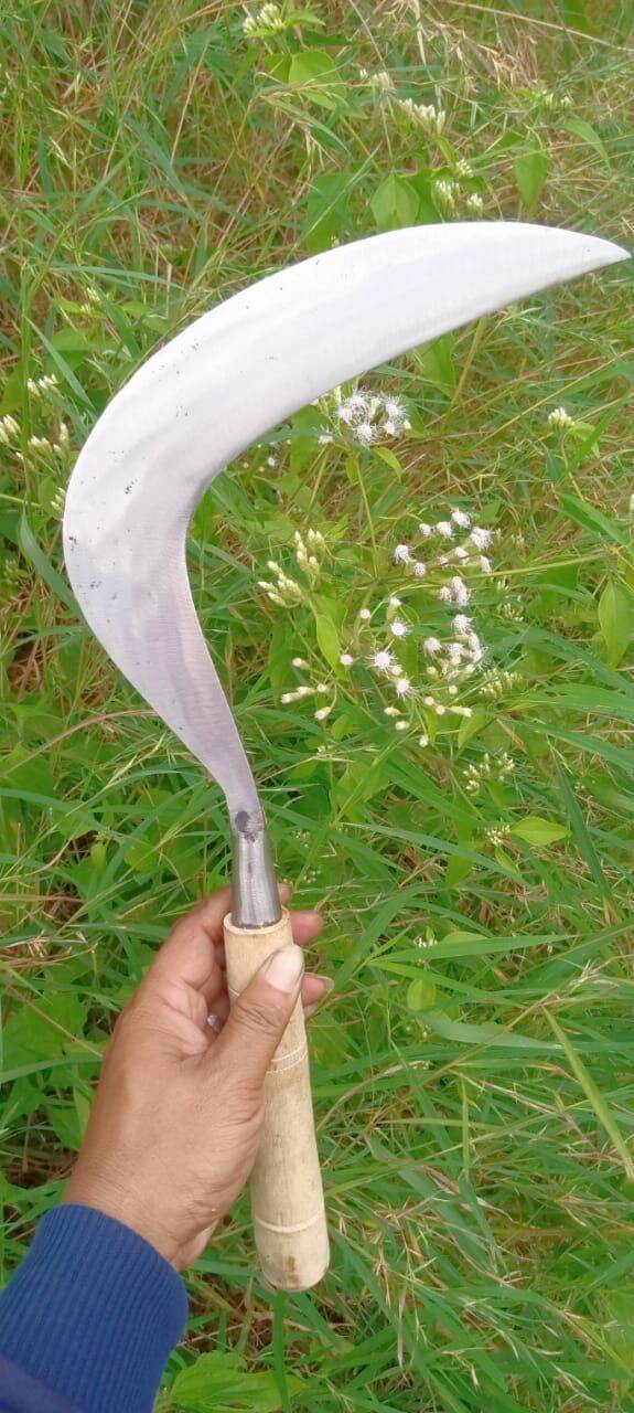 SABIT PEMANGKAS RUMPUT - Arit Super Tajam 37 Cm / Arit Rumput / Alat ...