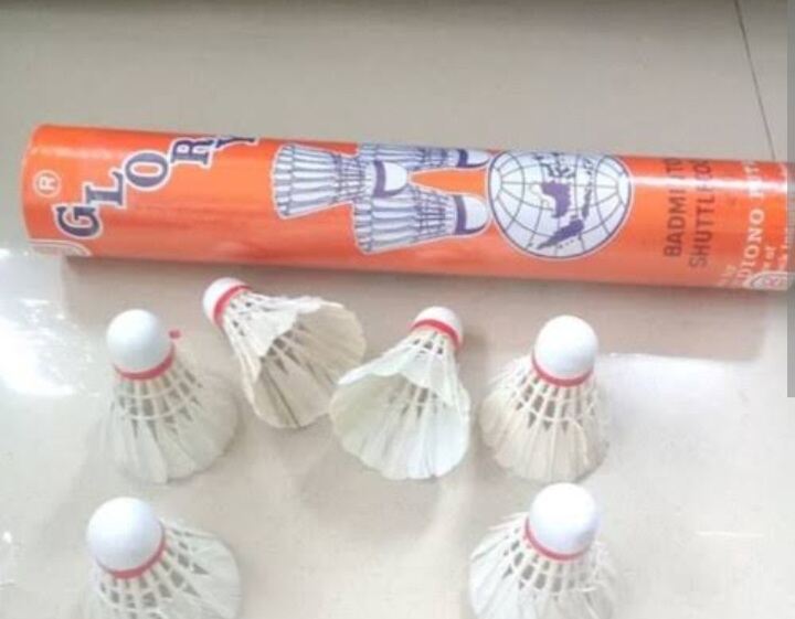 12 PC 1 SLOP SHUTTLECOOK BULU TANGKIS / 12 PC KOK BULU TANGKIS / 1 SLOP ...