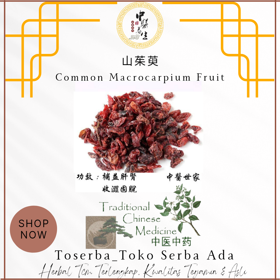 100gr Herbal Shan Zhu Yu 山茱萸 Cornus Officinalis Common Macrocarpium ...