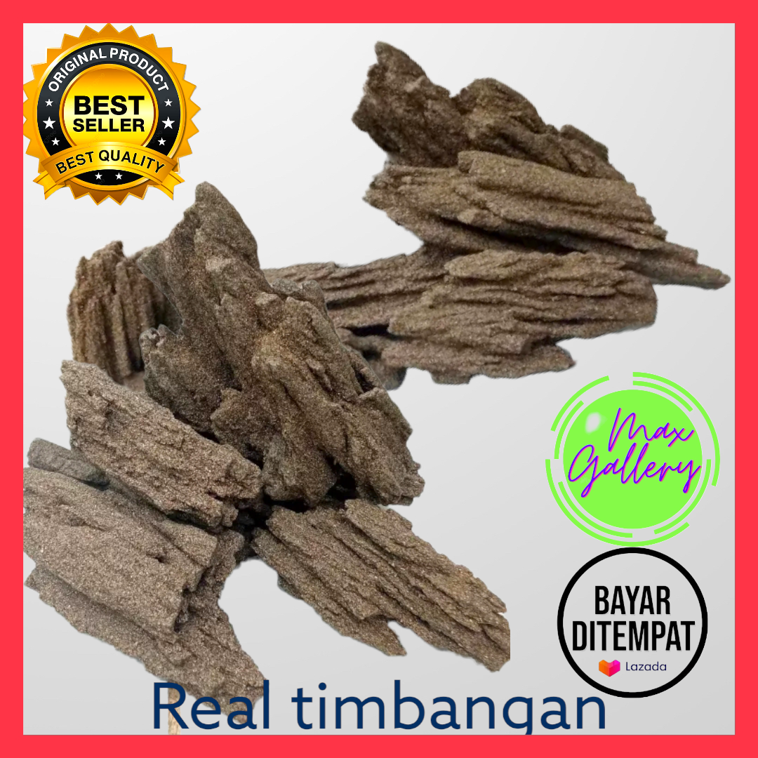 BATU AQUARIUM AQUASCAPE BATU FOSIL PASIR /5KG | Lazada Indonesia