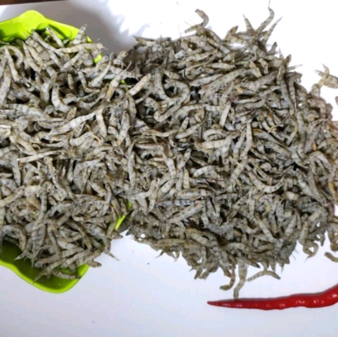500 gr ikan nike kering biasa/penja/duo/ikan kering khas sulawesi ...