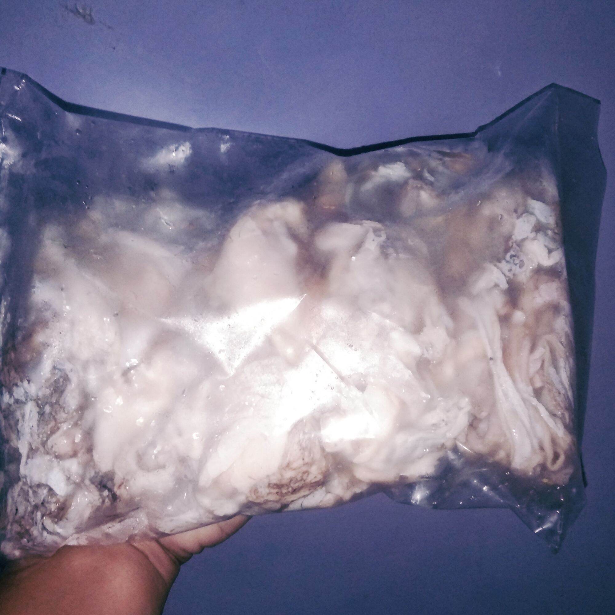 DAGING KOYOR 1 KG | Lazada Indonesia
