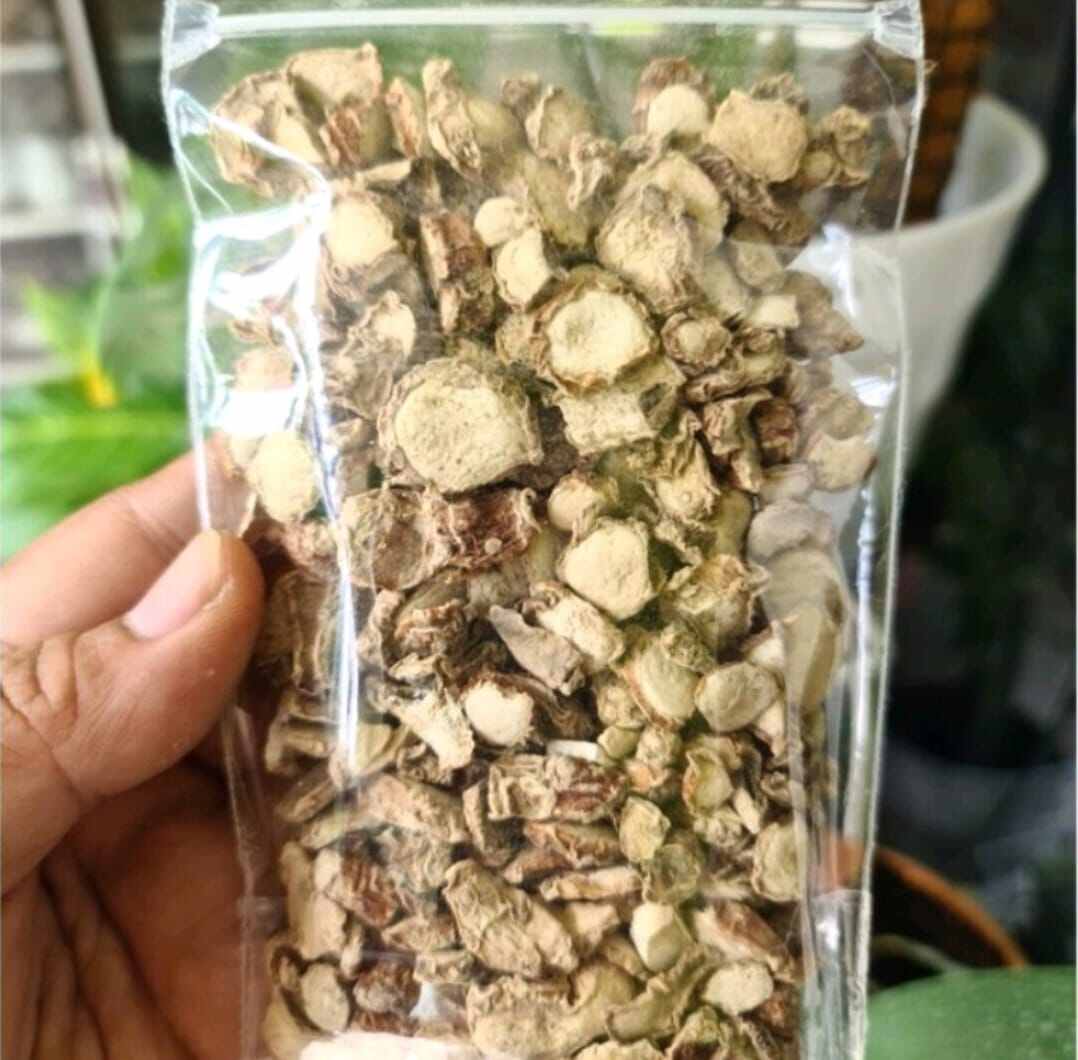 Rimpang kencur iris Kering 100gr / 500gr / 1kg - kencur iris kering ...