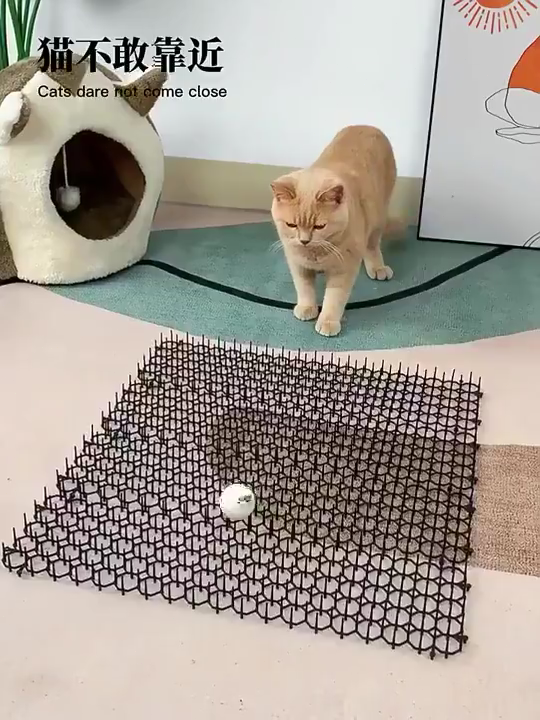 【Ready】karpet duri anti kucing Tikar Pengusir Kucing Taman Anti Kucing ...
