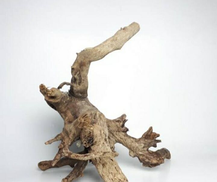 Akar kayu akuarium,aquacape terlaris ,akar kayu kaliandra kering ...