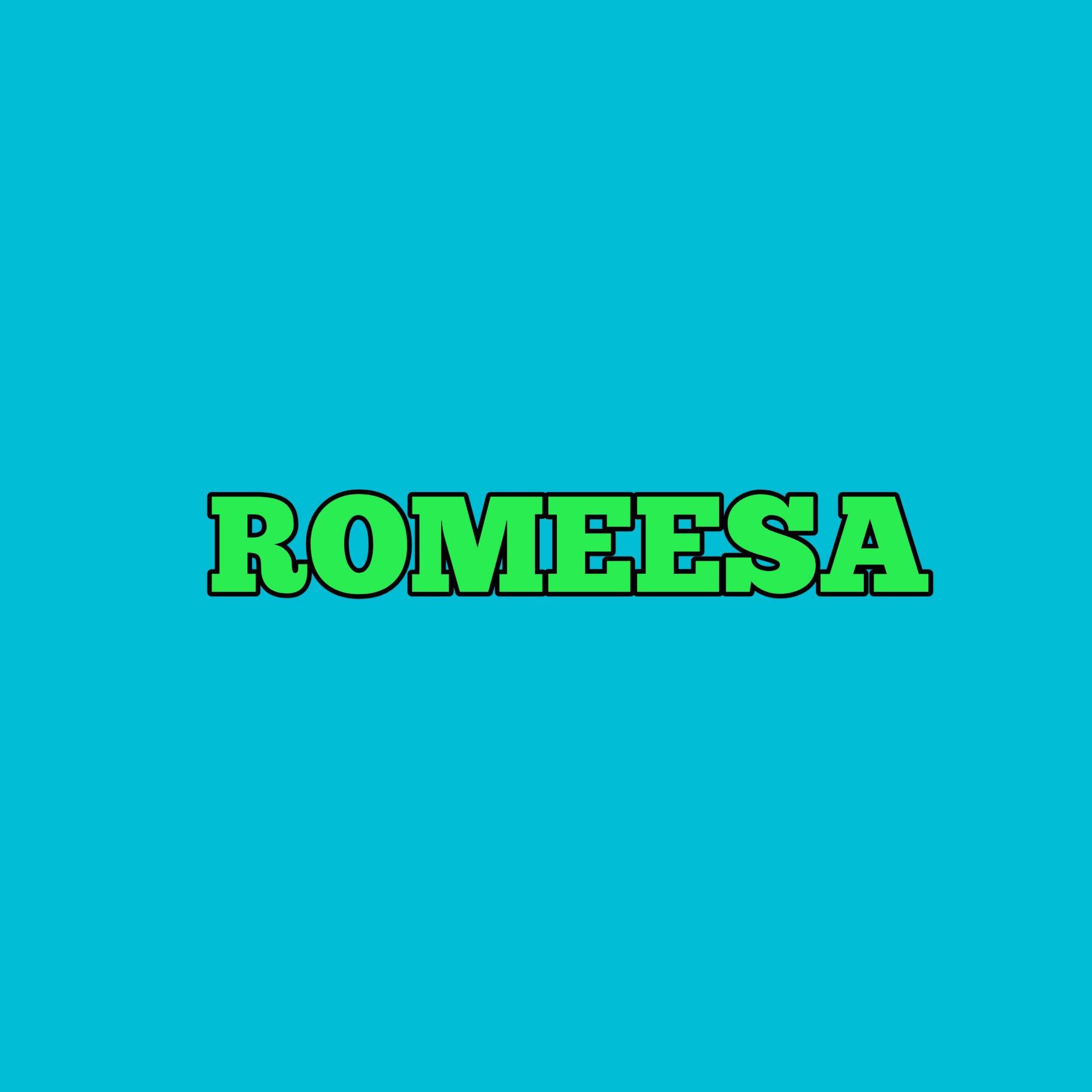 Romeesa Production Indonesia Toko Resmi Online | Beli Sekarang di Lazada