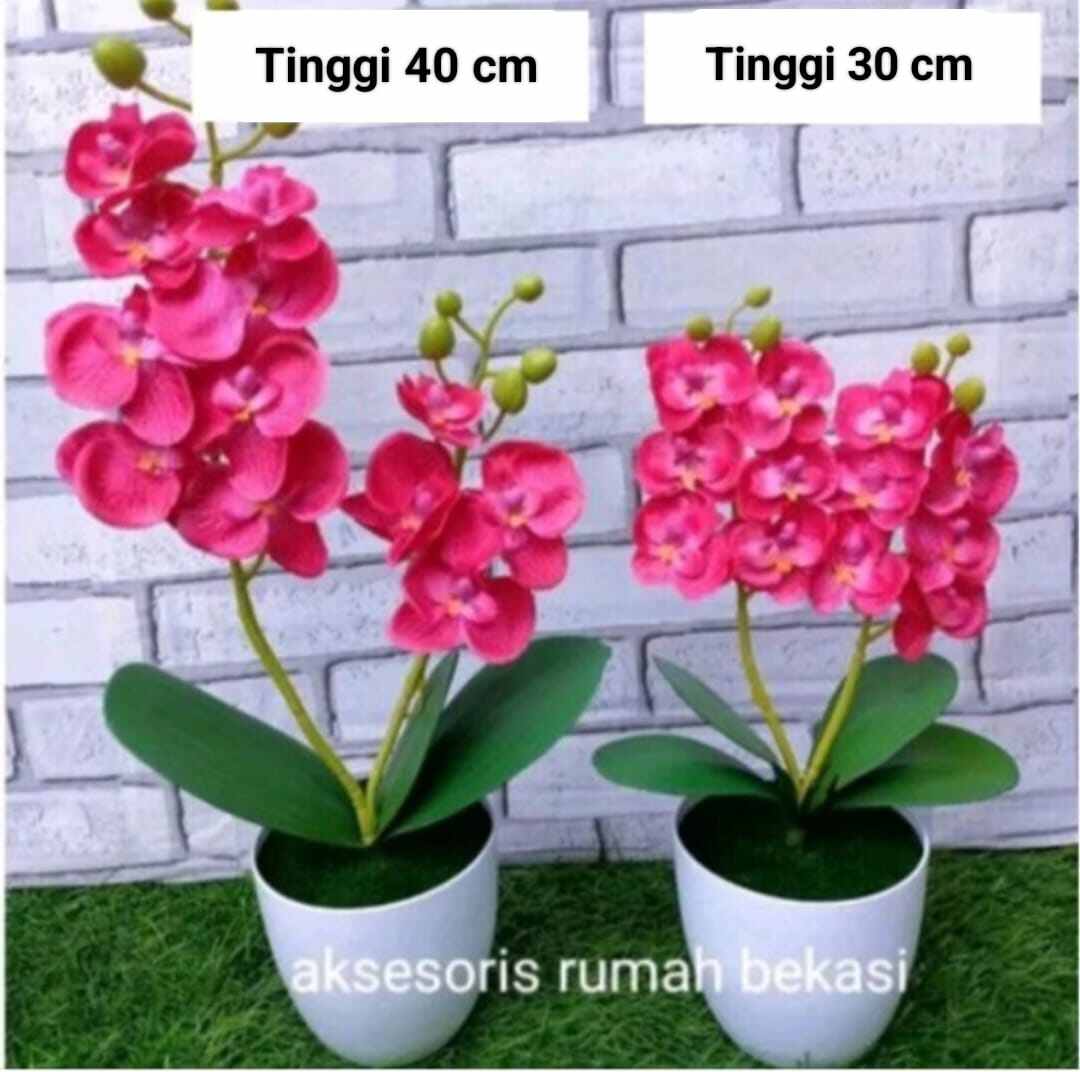 Bunga anggrek artificial 2 cabang dengan pot bulat lumut | Lazada Indonesia