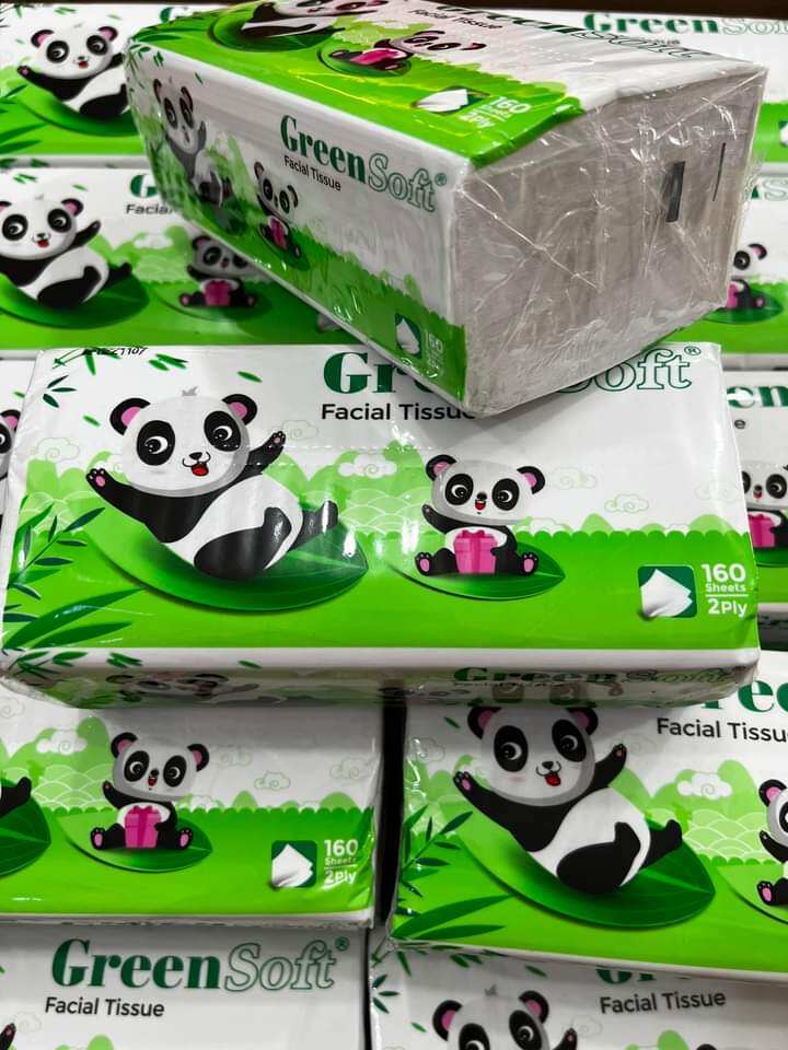 Tissue Green 160 sheet 2 ply | Lazada Indonesia