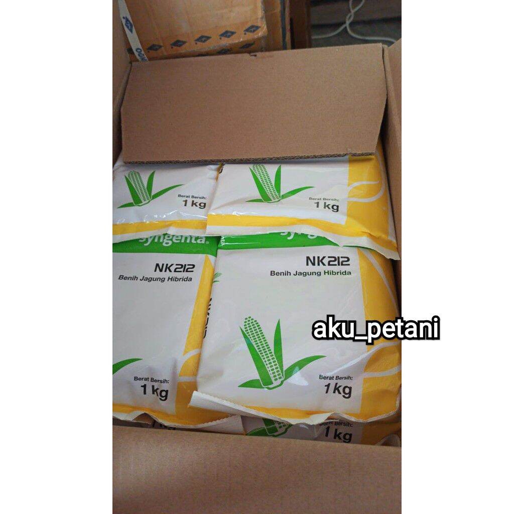 benih jagung hibrida syngenta NK 212 1kg | Lazada Indonesia