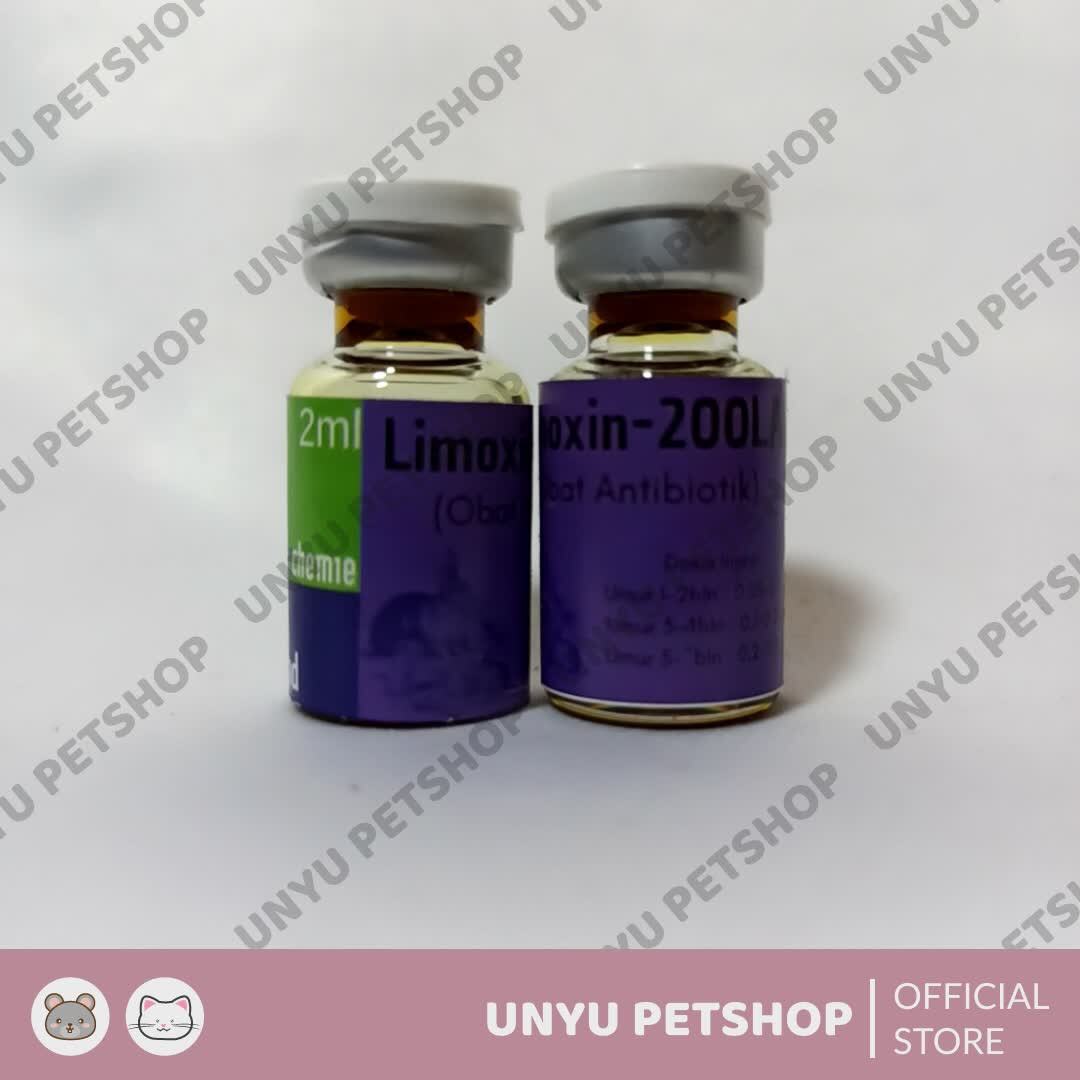 Interflox injeksi obat FLU untuk hewan peliharaan FREE 1pcs suntikan ...