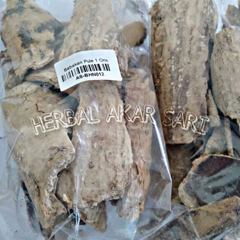 Akar Sari - Babakan Pule/Kulit Kayu Pohon Pule 100 Gram | Lazada Indonesia