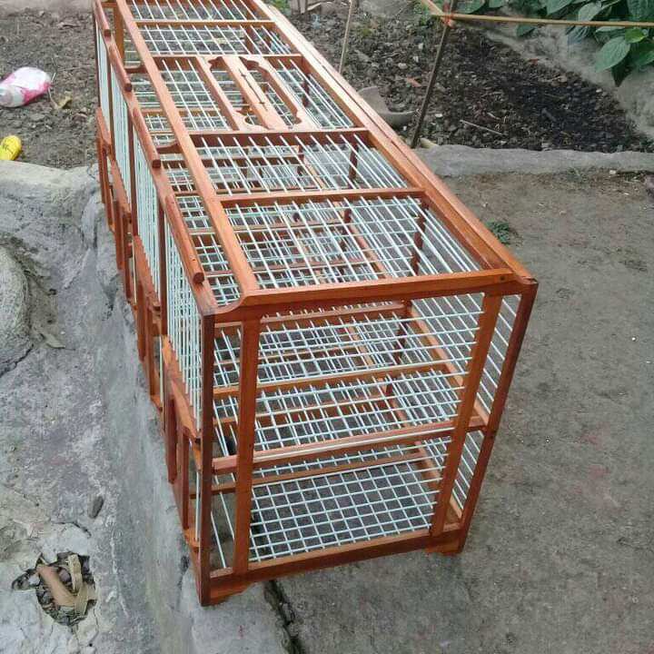 DONGDANG MERPATI /SANGKAR JEMUR 8 PINTU BAHAN JATI RUJI FIBER | Lazada ...