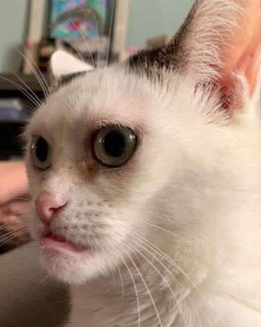 RWP SHOP Toko resmi di Indonesia, Online Shop 04 2025